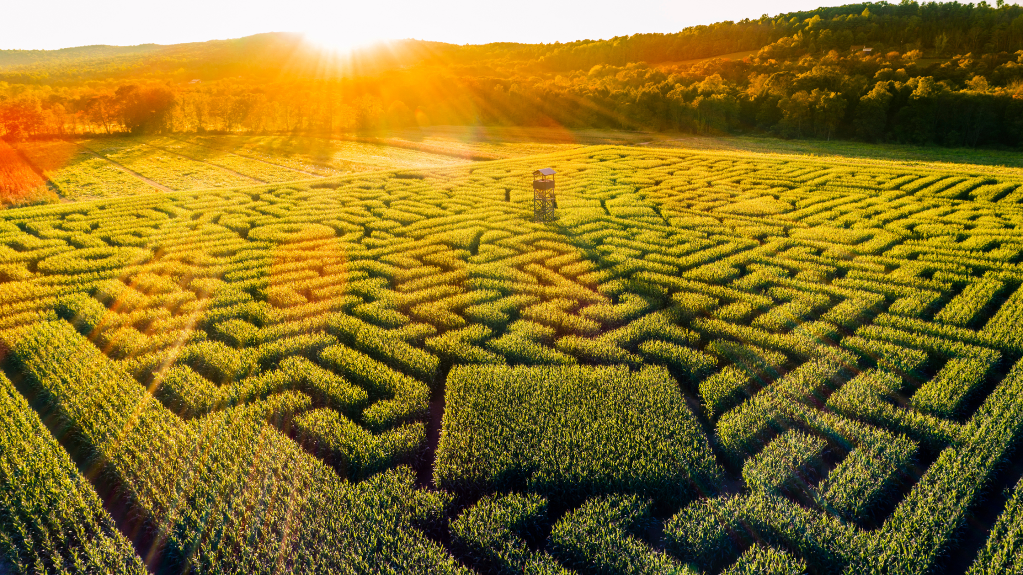 Navigating the legal maze to buying and selling in Scotland - McDougall ...